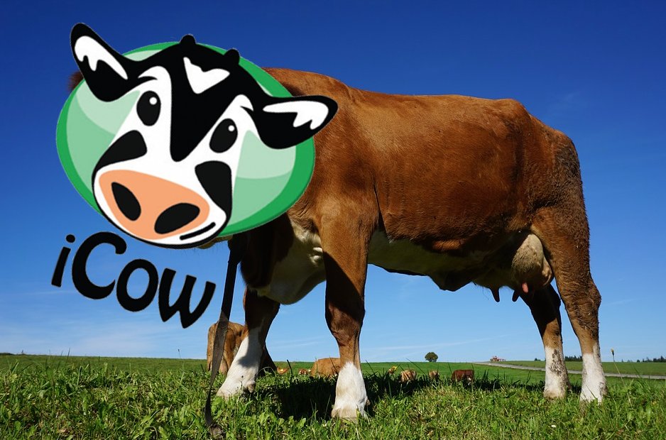 iCow - Grinno