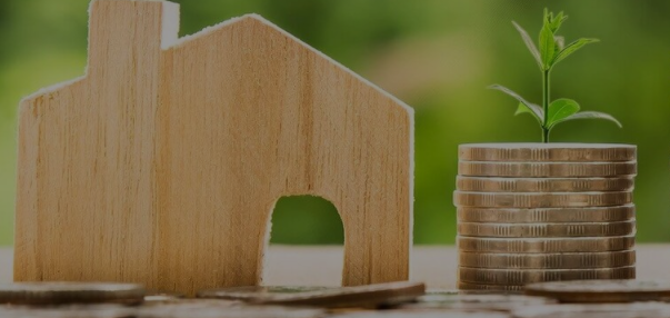 Wermuth Asset Management - Grinno